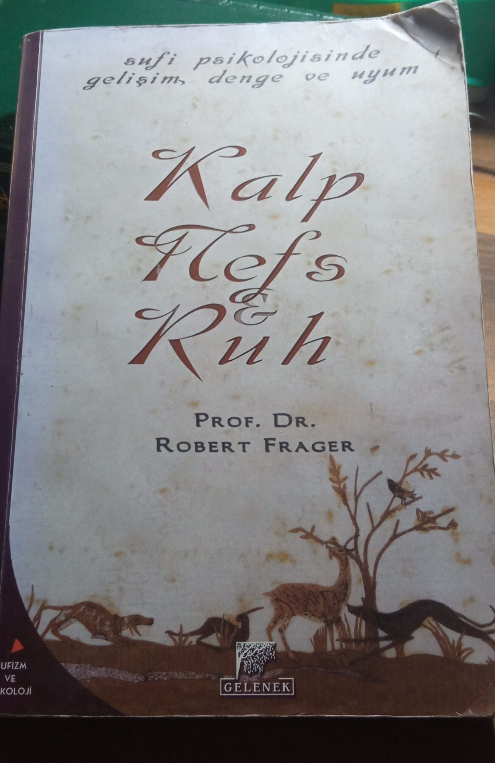 Kalp Nefs Ruh/Prof. Dr.Robert Frager - Okudum Satıyorum